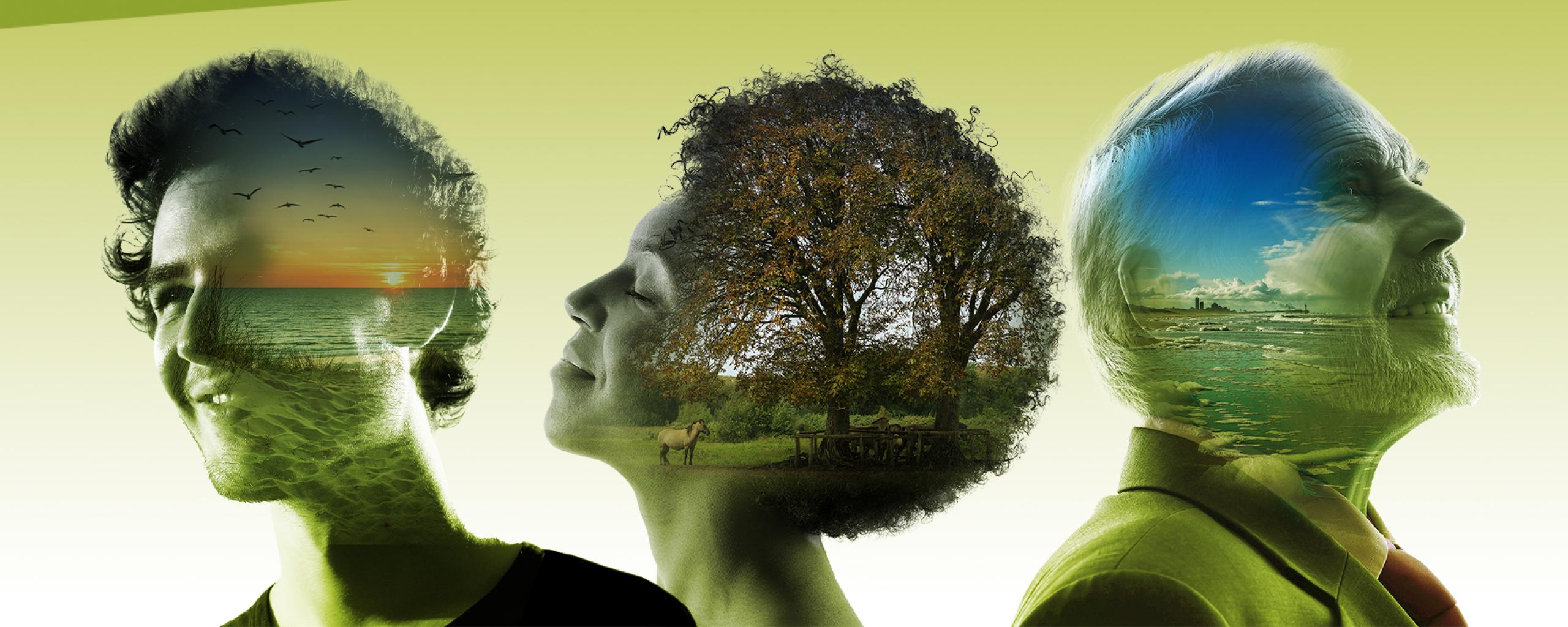 Onze mensen in beeld | Wassenaar